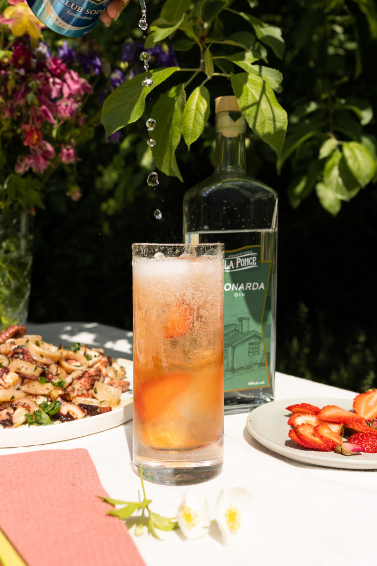 Gin Fizz Fraise et Rose - 1 ou 2 Cocktails